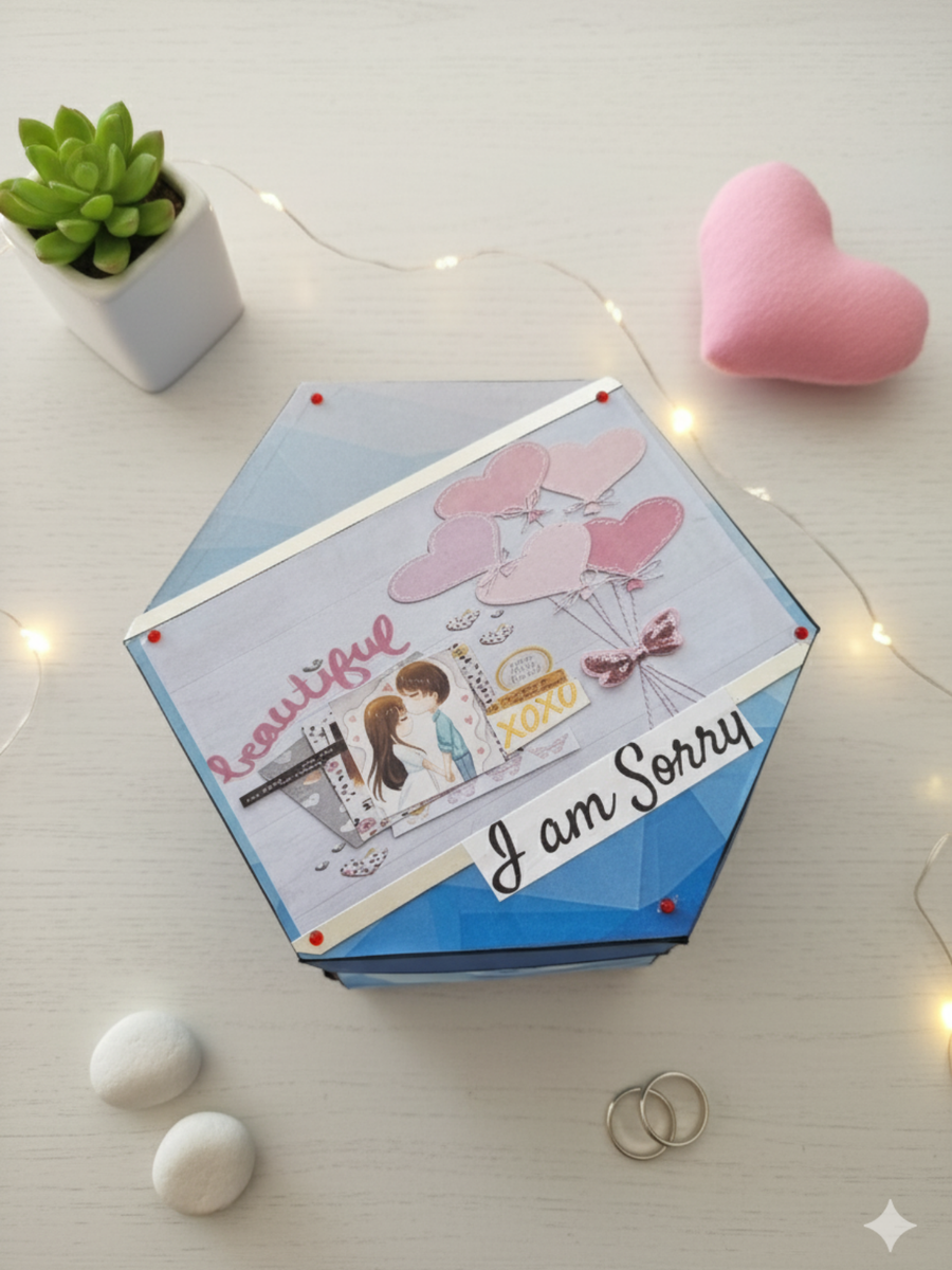 THE SORRY BOX